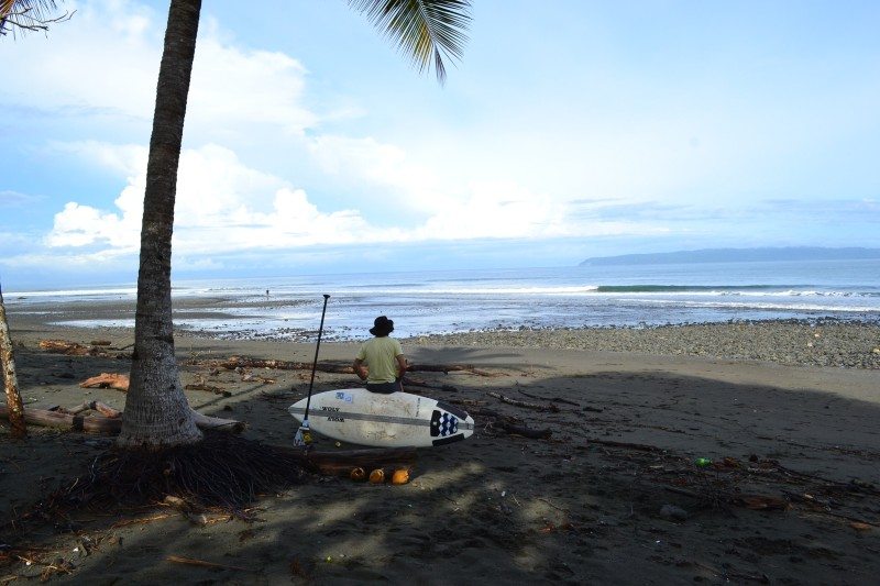 Pavones na Costa Rica: Guia de destino completo