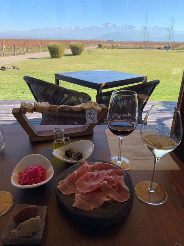 Vinicolas Mendoza que você não pode deixar de Conhecer
