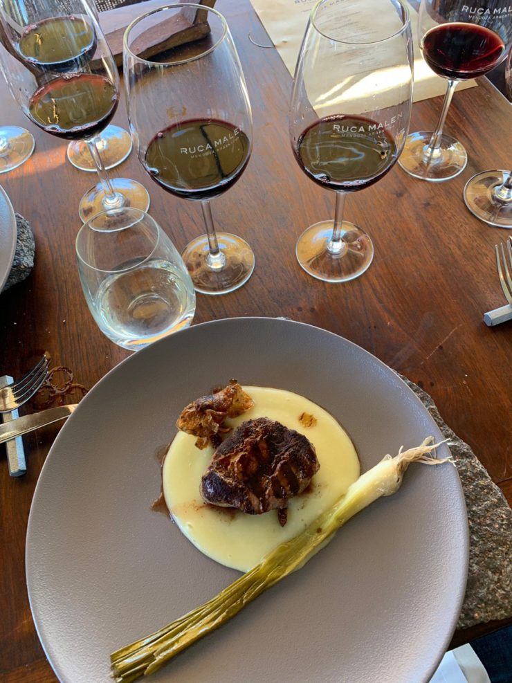 Vinicolas Mendoza que você não pode deixar de Conhecer