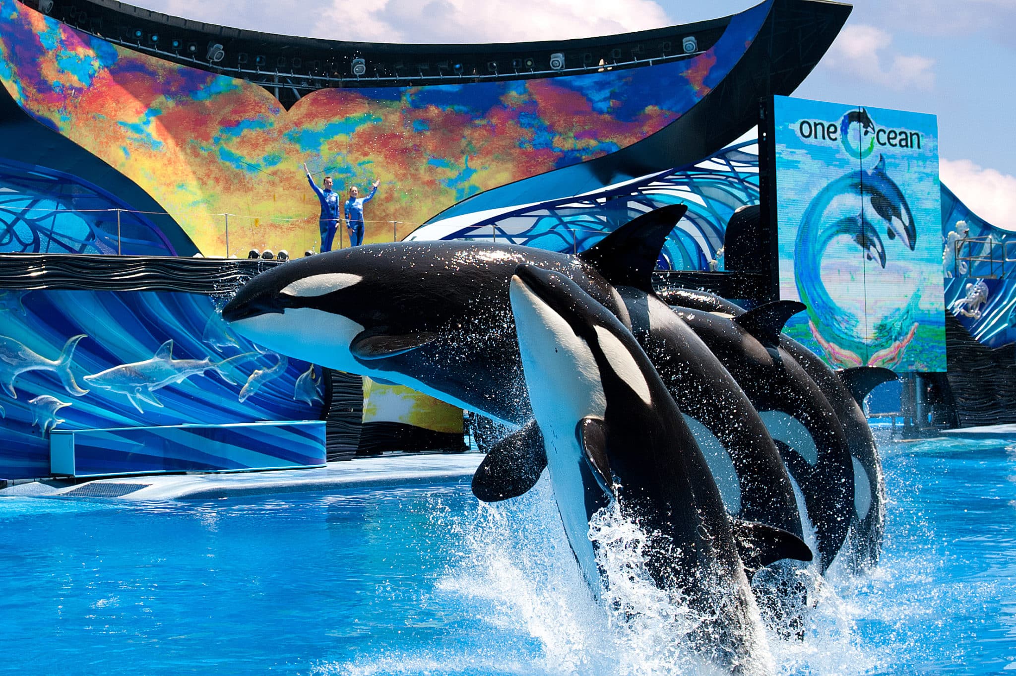 SeaWorld Orlando: Guia completo do parque | Dicas de Viagem