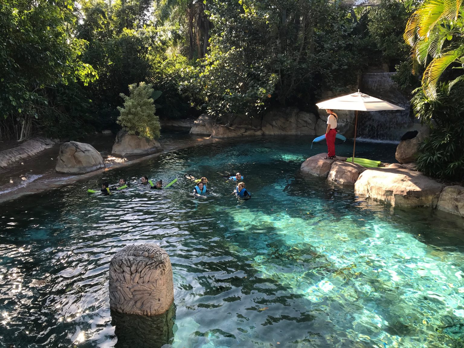 Discovery Cove em Orlando: Como é visitar o parque da Flórida