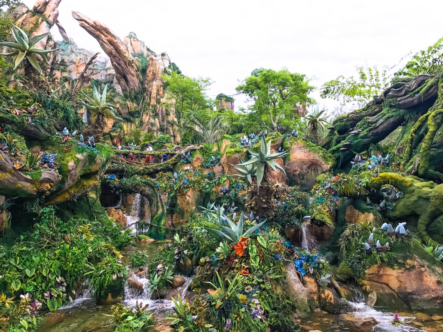 Pandora na Disney: O mundo de Avatar no Animal Kingdom