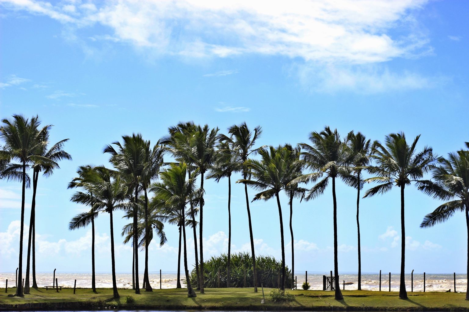 Ilhéus: Guia de viagem completo | Dicas de Viagem