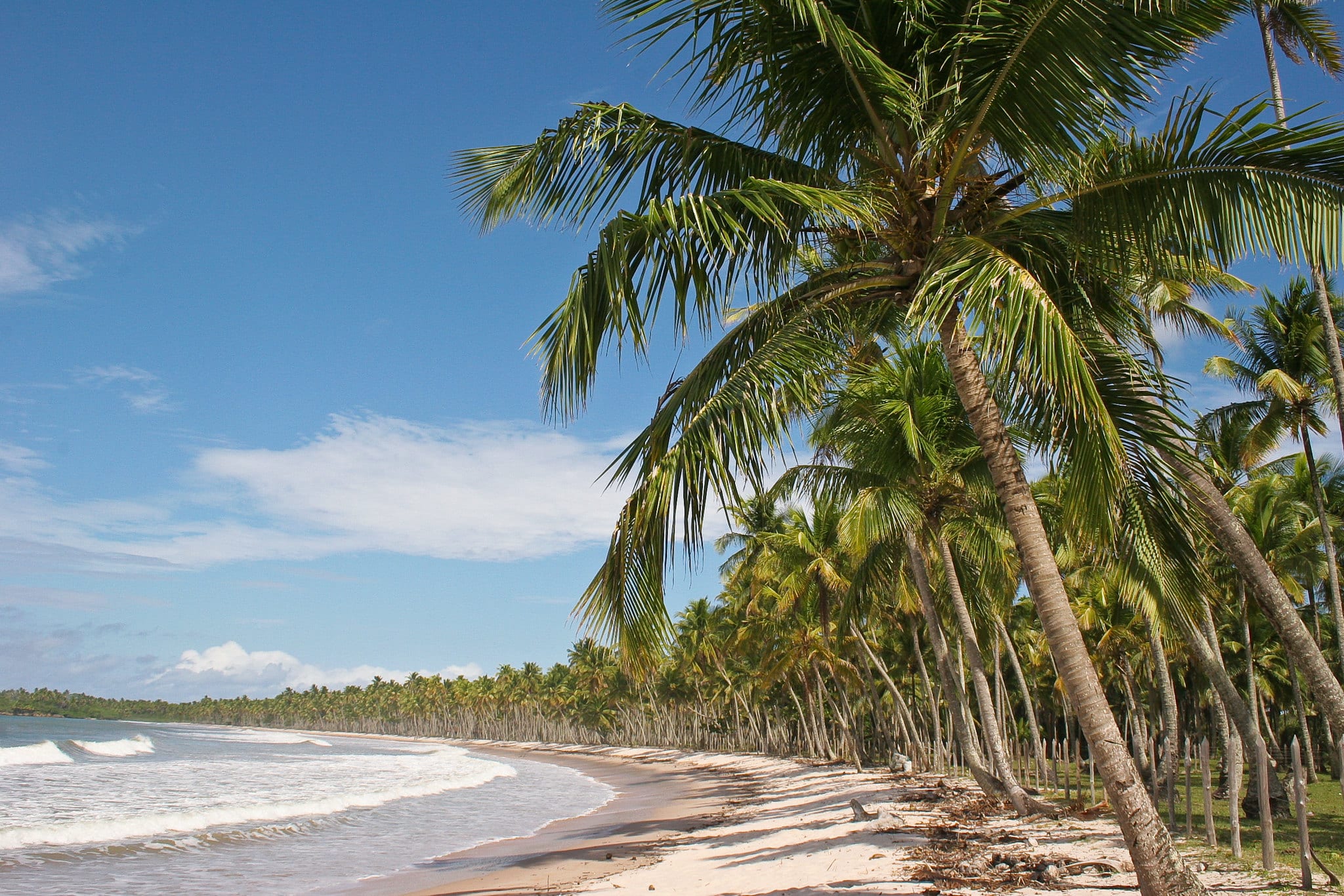 Boipeba: Guia de viagem completo | Dicas de Viagem