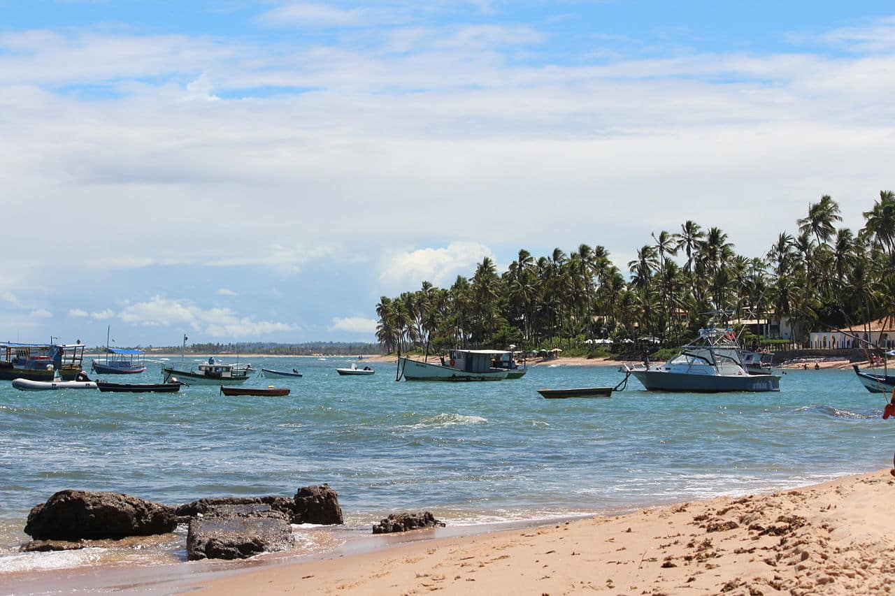 Praia do Forte - Guia de viagem completo | Dicas de Viagem
