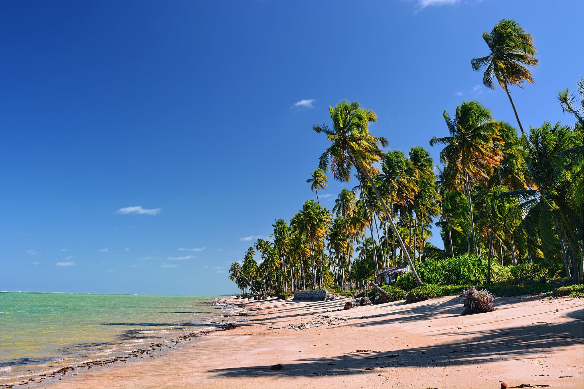 Praia do Patacho: O que fazer, Onde ficar, Quando ir