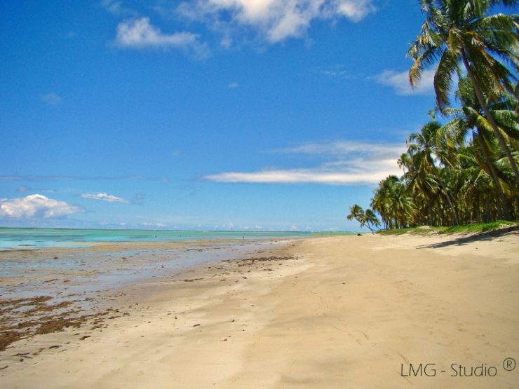Praia do Patacho: O que fazer, Onde ficar, Quando ir