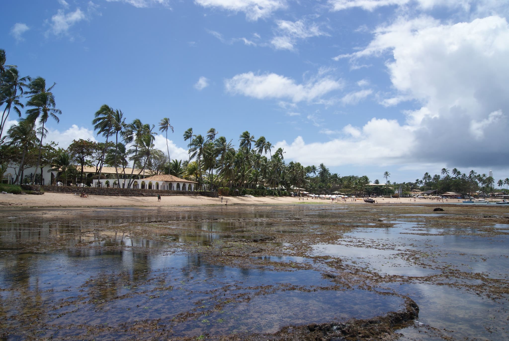 Praia do Forte: Tudo sobre a pequena vila baiana