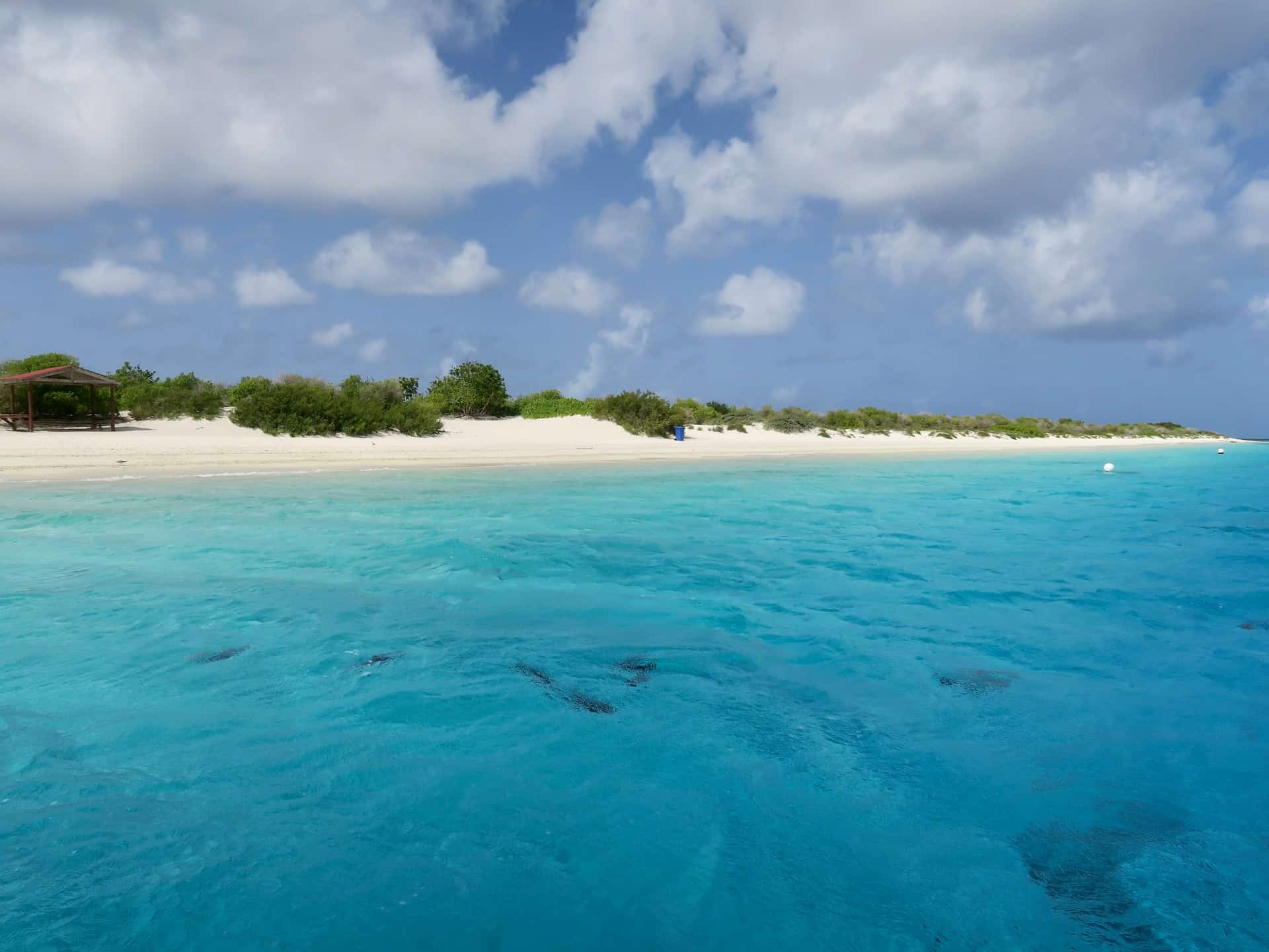 Chip celular Bonaire: Viaje à ilha com internet ilimitada