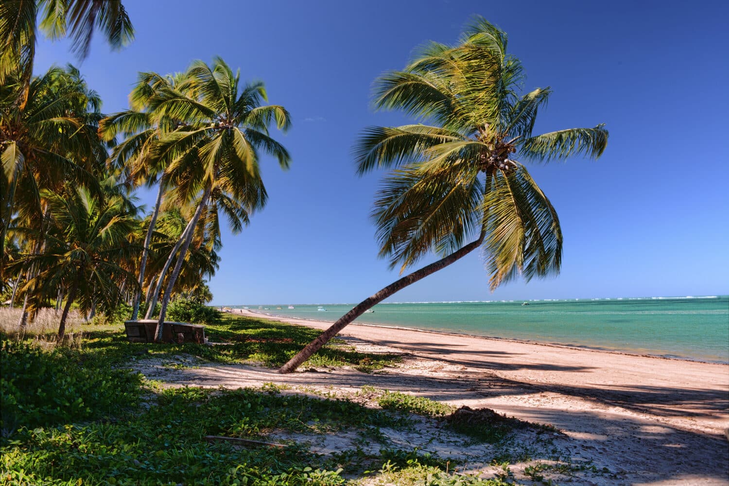 Melhores praias de Maceió e região: As mais imperdíveis
