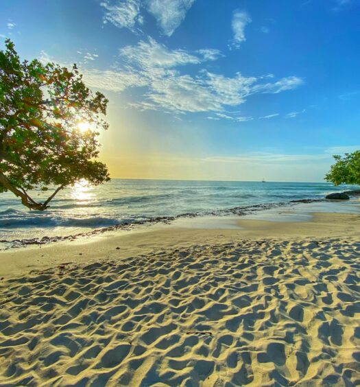 Ilhas ABC (Aruba Bonaire e Curaçao): Guia completo