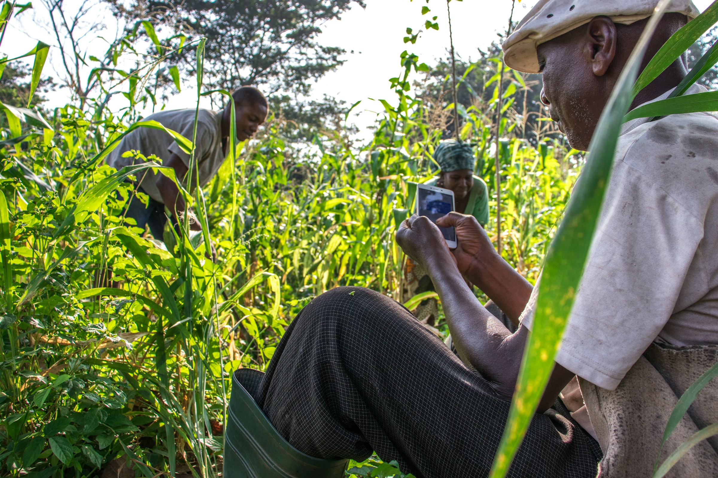 eSIM Togo: Saiba como viajar conectado
