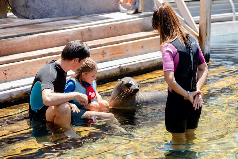 Ingresso do parque Faunia: Conheça centenas de animais!