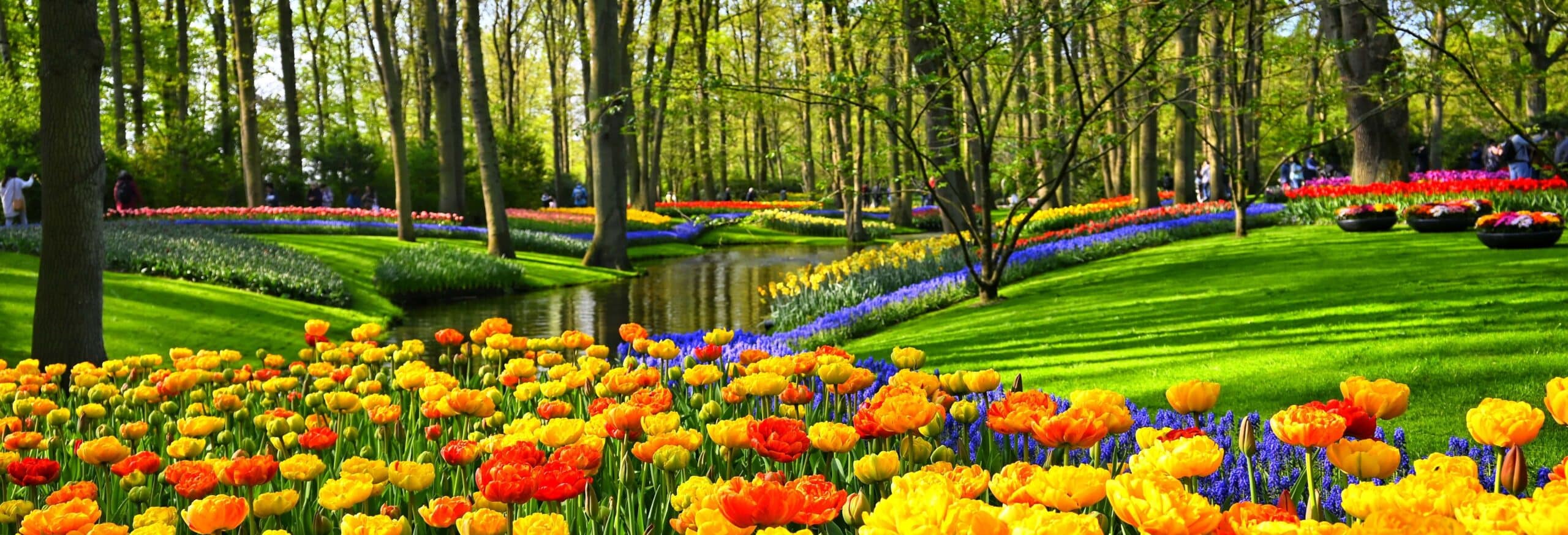Excursão ao Keukenhof e aos Lagos Kaag a partir de Amsterdam